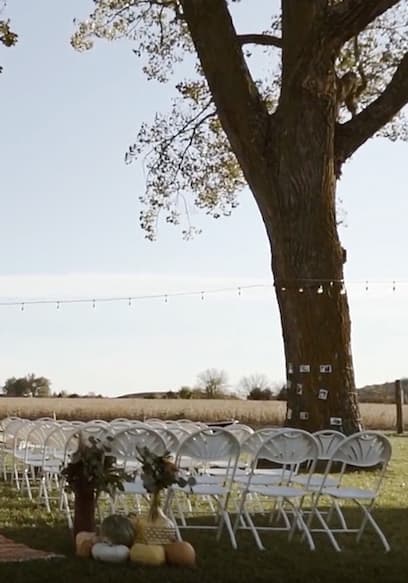 Watch Spooktacular Halloween Weddings S01:E02 - Pumpkin Promises: A ...