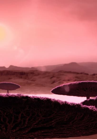 Watch Space Phenomena S01:E01 - Alien Planets - Free TV Shows | Tubi