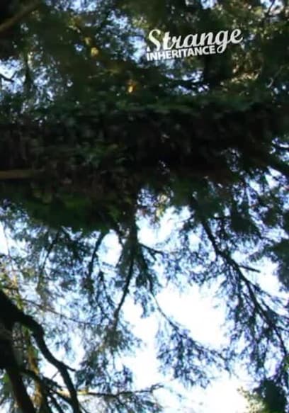 Watch Strange Inheritance S04:E24 - Freaky Forest - Free TV Shows | Tubi