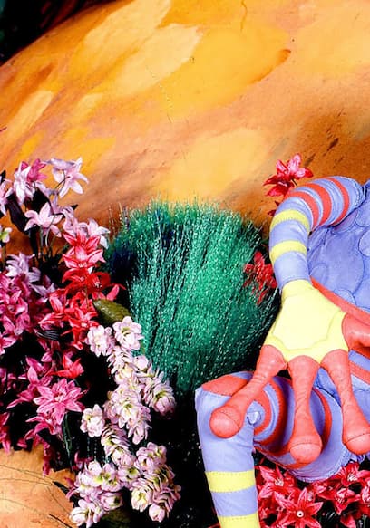 Watch Fimbles S01:E13 - Red Nose - Free TV Shows | Tubi