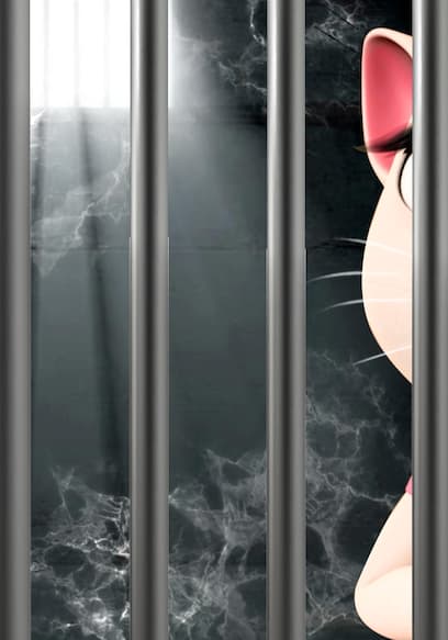 Watch Talking Tom and Friends S03:E03 - Negative Pos - Free TV Shows | Tubi