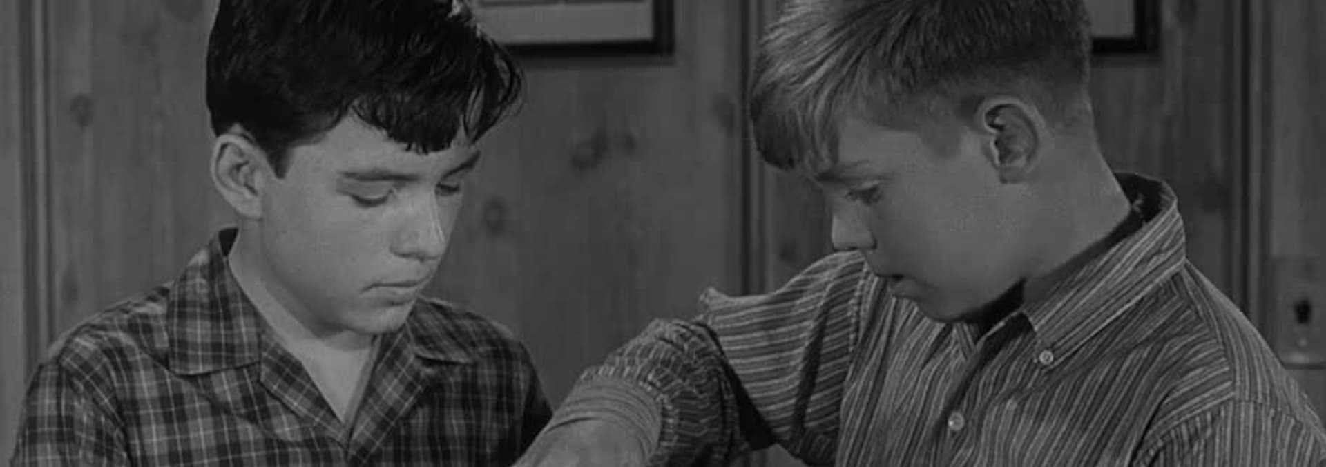 Watch Leave It to Beaver S05:E24 - Wally Stays at Lumpy's - Free TV ...