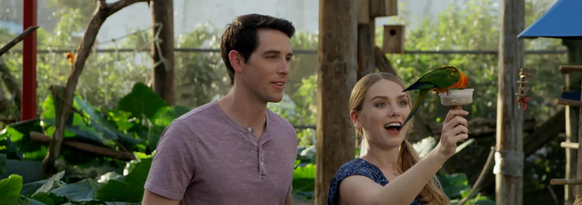 Watch Cinderella In The Caribbean 2023 Free Movies Tubi