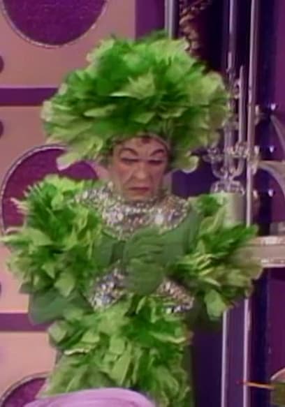 Watch The Bugaloos S01:E11 - On a Clear Day - Free TV Shows | Tubi