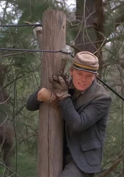 Watch Bret Maverick S01:E16 - The Rattlesnake Brigad - Free TV Shows | Tubi