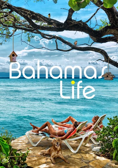 Watch Bahamas Life - Free TV Shows | Tubi