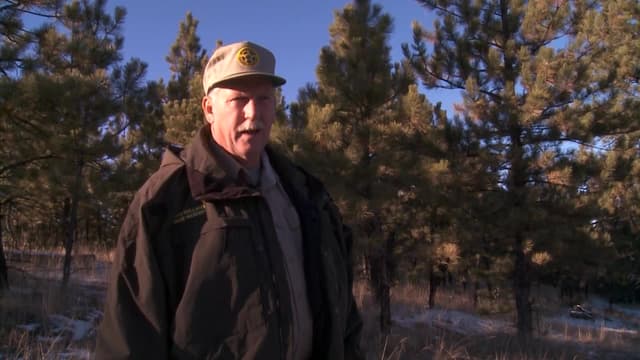 Watch Wardens S05:E05 - Warden's Instinct - Free TV Shows | Tubi