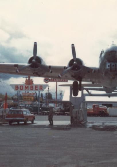 Watch Strange Inheritance S03:E27 - Winging It - Free TV Shows | Tubi