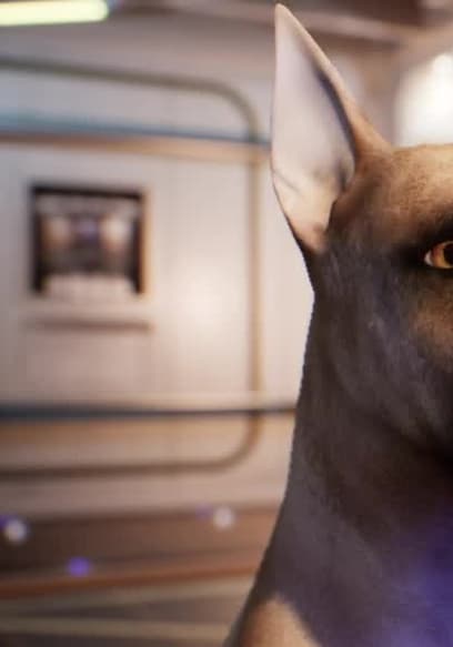 Watch Avenger Dogs S01:E05 - Episode 5 - Free TV Shows | Tubi