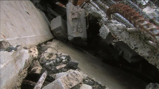 Watch I Survived S06:E02 - I Survived...Tere/Christa/Brian - Free TV ...