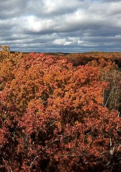 Watch Wardens S01:E11 - Interstate Game Check - Free TV Shows | Tubi