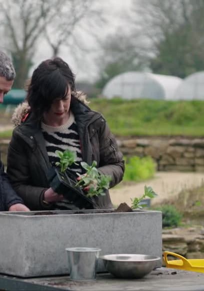 Watch Grow Cook Eat S03:E01 - Broad Beans - Free TV Shows | Tubi