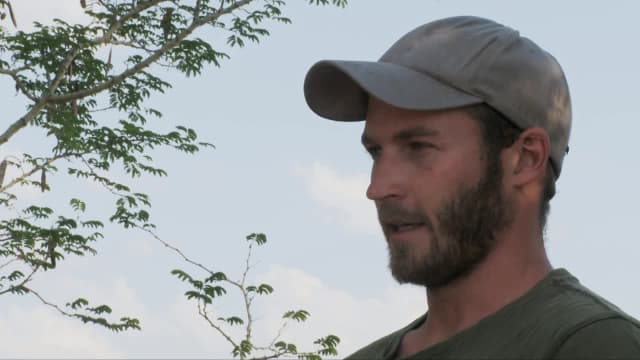 Watch Saving Sirga: Journey Into the Heart of a Lion - Free TV Shows | Tubi