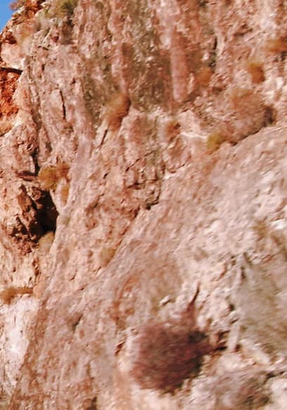 Watch Escaping Polygamy S04:E89 - The Lost Moments: - Free TV Shows | Tubi