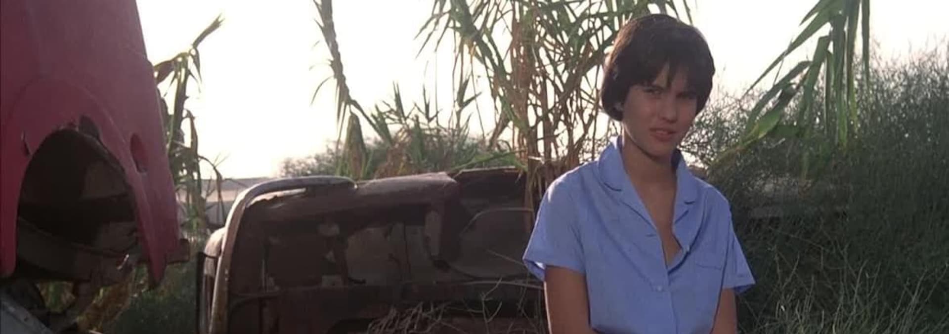 Watch The Lover (1985) - Free Movies | Tubi