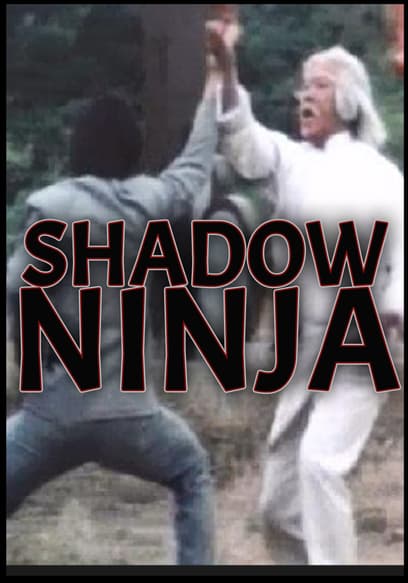Watch Shadow Ninja (1980) - Free Movies | Tubi