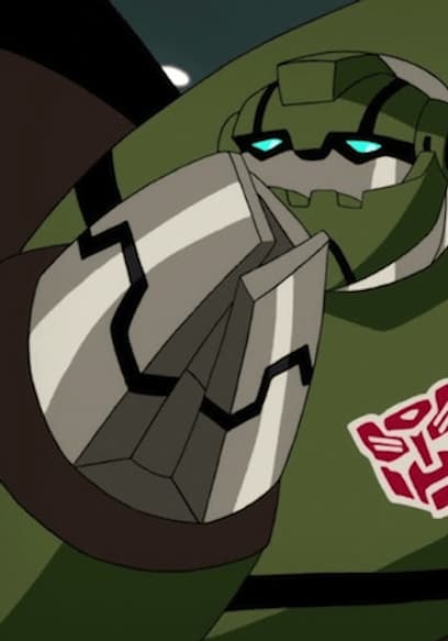 Watch Transformers: Animated S01:E12 - Survival Of The Fittest - Free ...