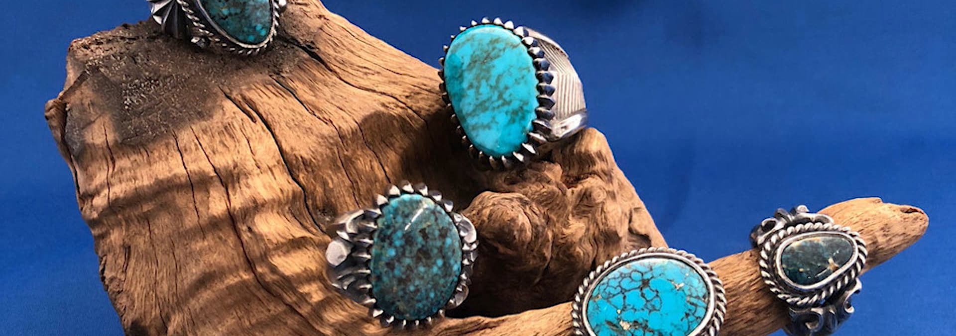 Watch Turquoise Fever S01:E101 - White Buffalo - Free TV Shows | Tubi