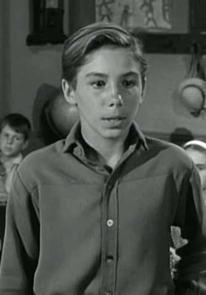 Watch The Rifleman S03:E10 - The Schoolmaster - Free TV Shows | Tubi