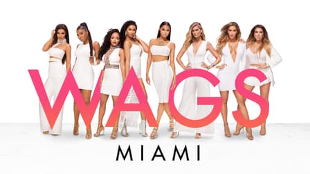 Watch WAGS Miami - Free TV Shows | Tubi