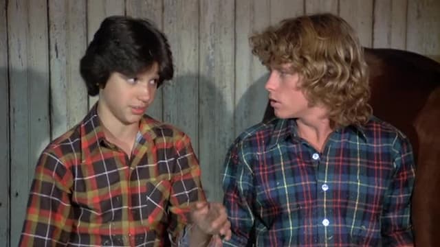 Watch Eight Is Enough S05:E12 - David's Rib - Free TV Shows | Tubi