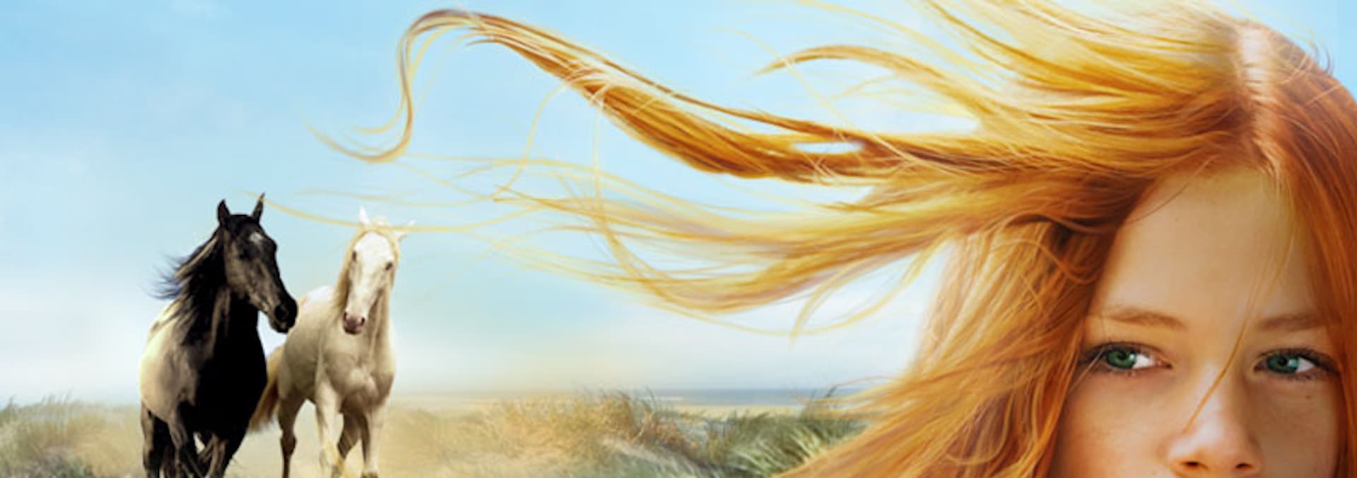 Watch Windstorm 2 (2020) - Free Movies | Tubi