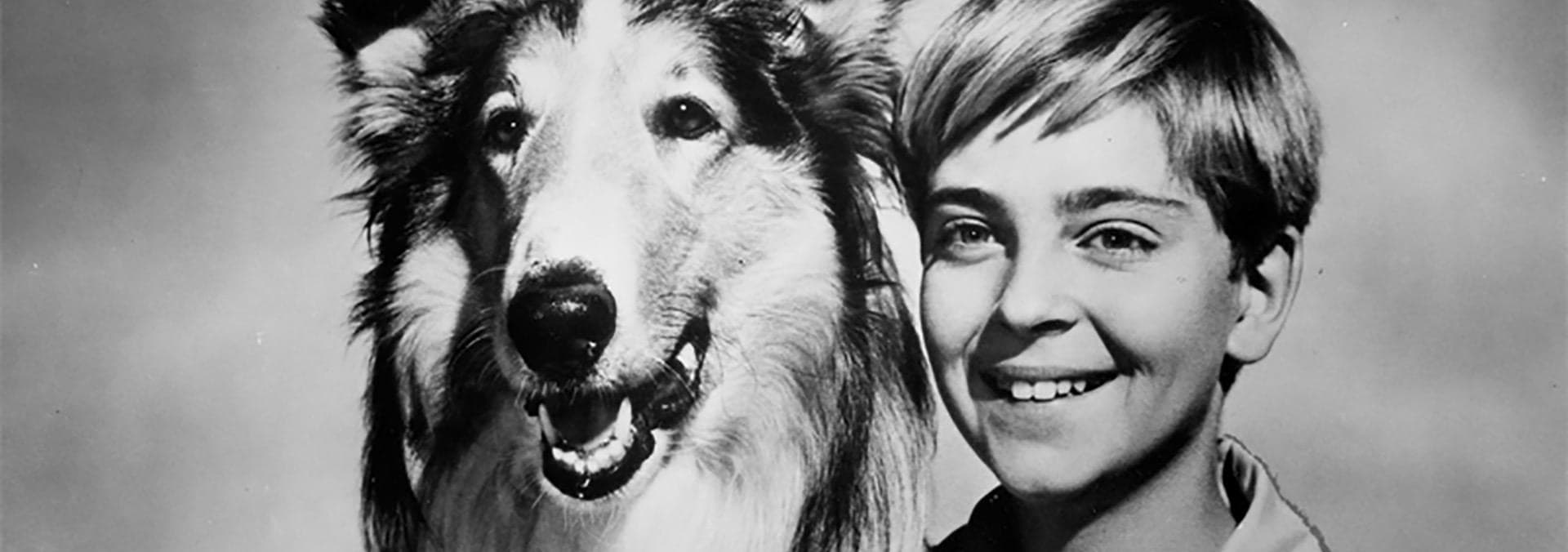 Watch The Hollywood Collection The Story Of Lassie 1 Free Movies Tubi