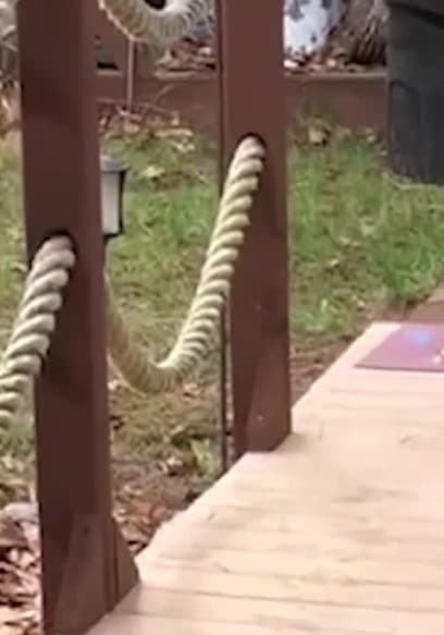 Watch AFV's Ultimate Top 1000 S01:E04 - Kids Say Moments - Free TV ...