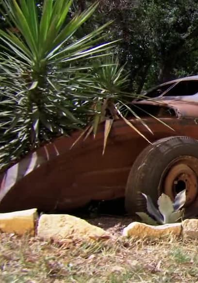 Watch Texas Car Wars S01:E03 - Tale of the Filthy Gr - Free TV Shows | Tubi