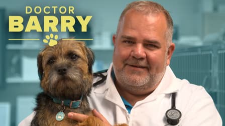 Watch Doctor Barry - Free TV Shows | Tubi