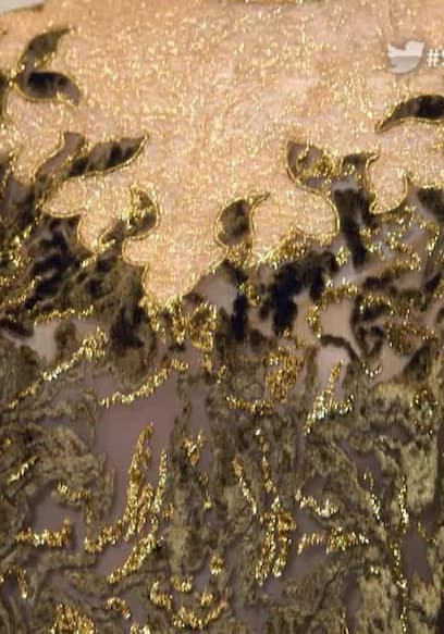 Watch Strange Inheritance S04:E08 - Overdressed - Free TV Shows | Tubi