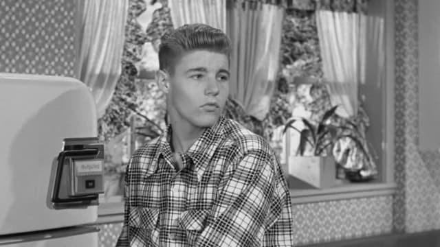 Watch The Adventures of Ozzie and Harriet S04:E26 - Redressing Ricky ...