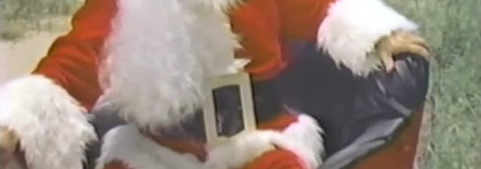 Watch RiffTrax: Santa and the Ice Cream Bunny (2010) - Free Movies | Tubi