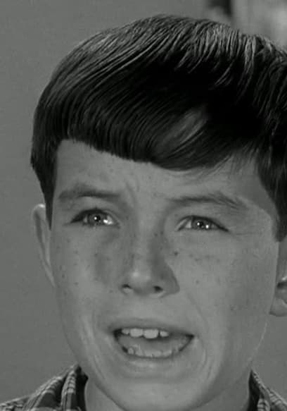 Watch Leave It to Beaver S04:E05 - Beaver's Freckles - Free TV Shows | Tubi