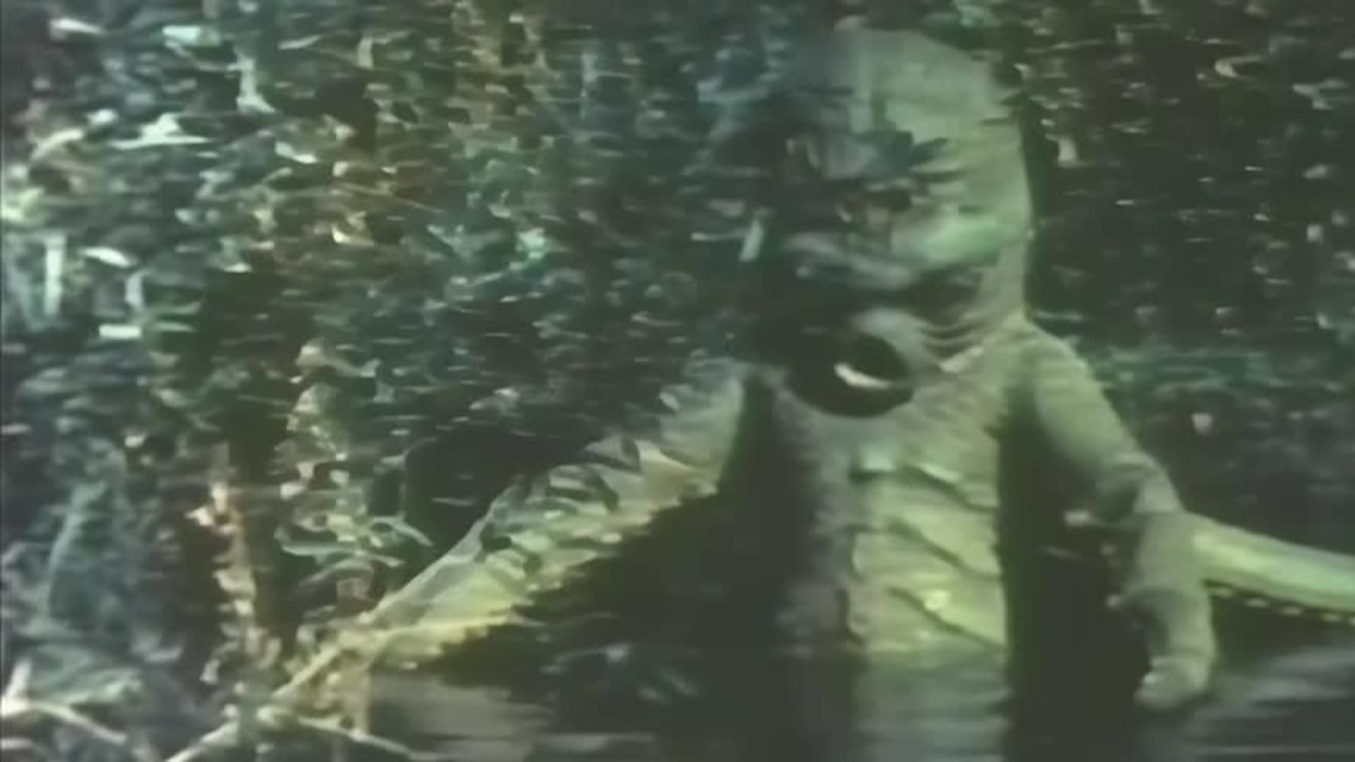 Watch Octaman (1971) - Free Movies | Tubi