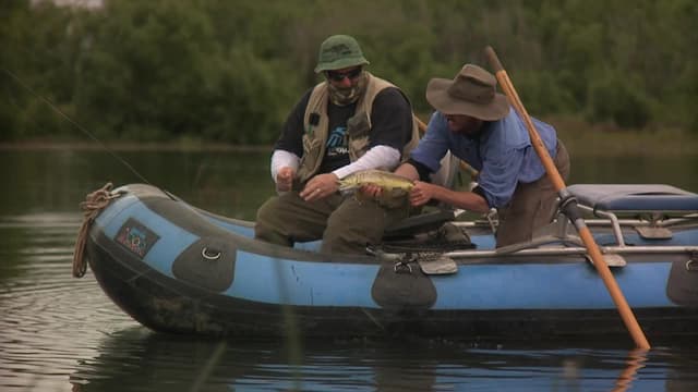 Watch The Source Series - Free TV Shows | Tubi