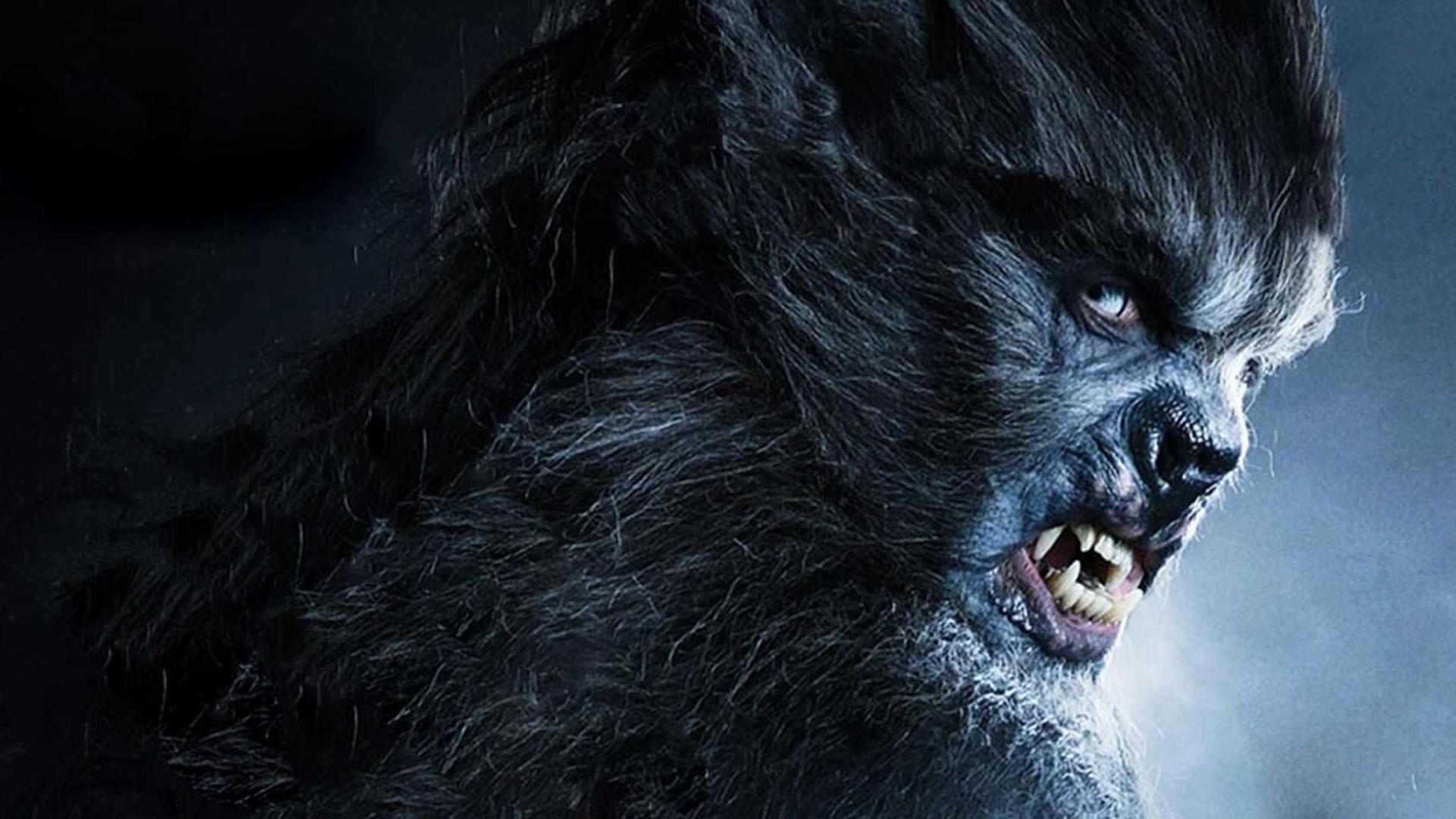 Watch Wolves (2014) - Free Movies | Tubi