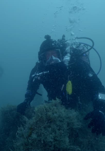 Watch Ross Kemp: Shipwreck Treasure Hunter S01:E03 - - Free TV Shows | Tubi