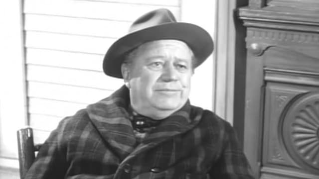 Watch Petticoat Junction - Free TV Shows | Tubi