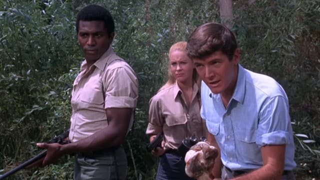 Watch Daktari S03:E14 - Clarence's Love-In - Free TV Shows | Tubi