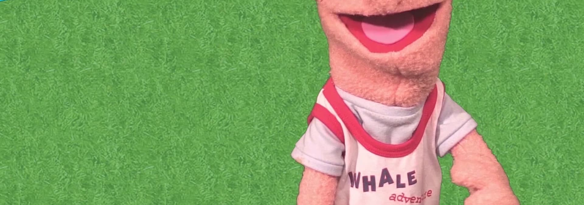 Watch Summer Camp With Timmy Uppet (2019) - Free Movies | Tubi