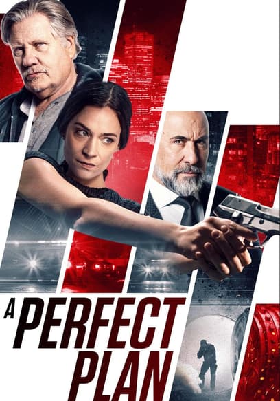 Watch A Perfect Plan (2020) - Free Movies | Tubi