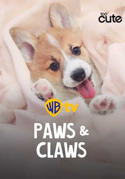 Watch Paws & Claws - Free Live TV | Tubi