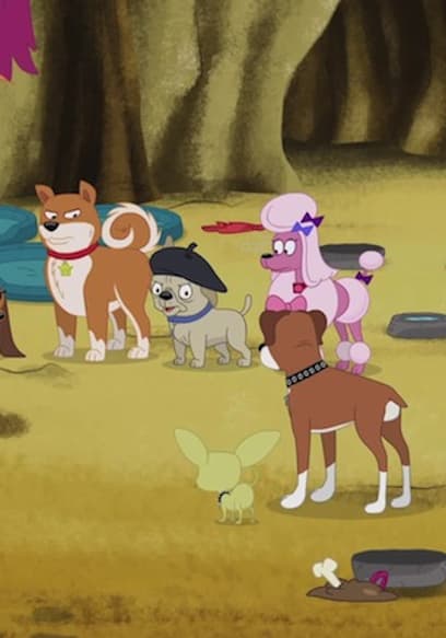 Watch Pound Puppies S03:E12 - Hail to the Chief - Free TV Shows | Tubi
