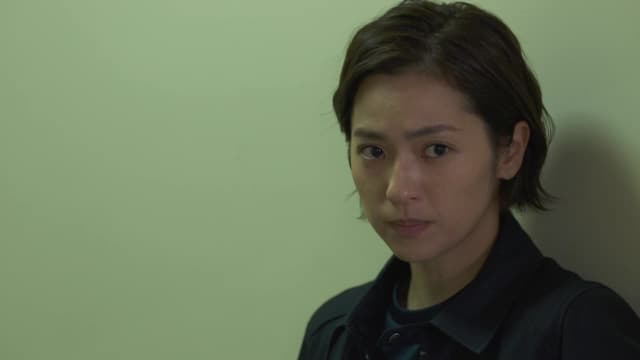 Watch DCU: Deep Crime Unit - Free TV Shows | Tubi