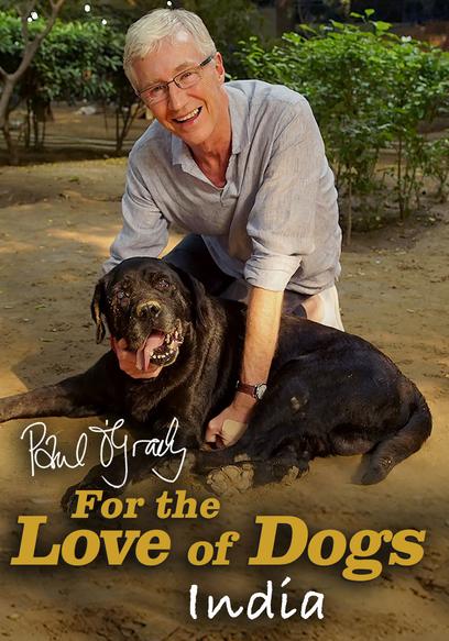 Watch Paul O'Grady: For the Love of Dogs - India - Free TV Shows | Tubi