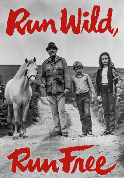 Watch Run Wild Run Free 1969 Free Movies Tubi