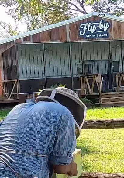 Watch Amazing Animals with Cowboy Jack S01:E03 - Bees Are Awesome for ...