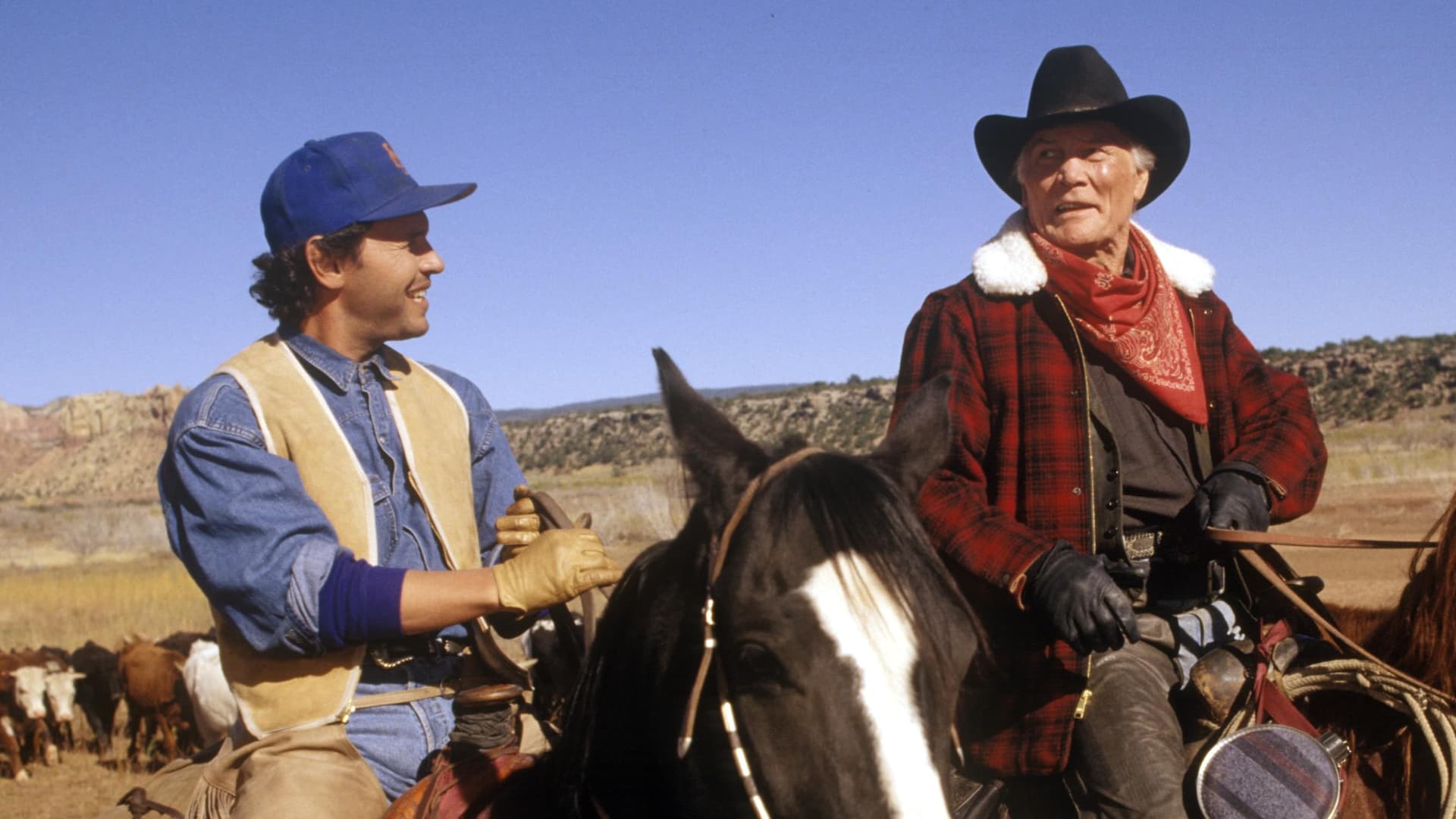 Watch City Slickers (1991) - Free Movies | Tubi