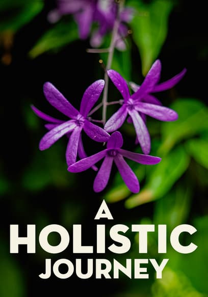 Watch A Holistic Journey (2022) - Free Movies | Tubi